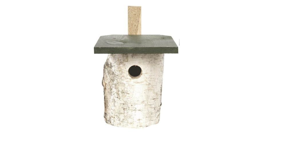Birch Log Nest Box 32mm - BirdWatch Ireland