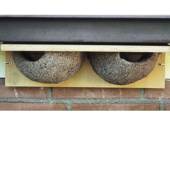 Nest Box Plate - 32mm - BirdWatch Ireland