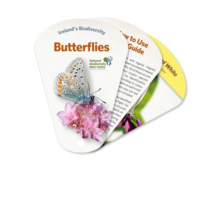Swatch Guide to Irelands Butterflies - BirdWatch Ireland
