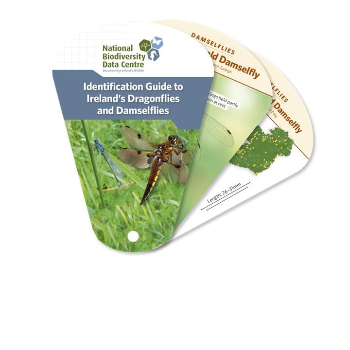 Swatch Guide to Irelands Dragonflies and Damselflies - BirdWatch Ireland