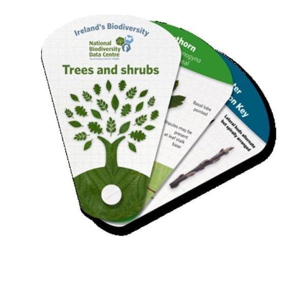 Swatch Guide to Irelands Trees and Shrubs - BirdWatch Ireland