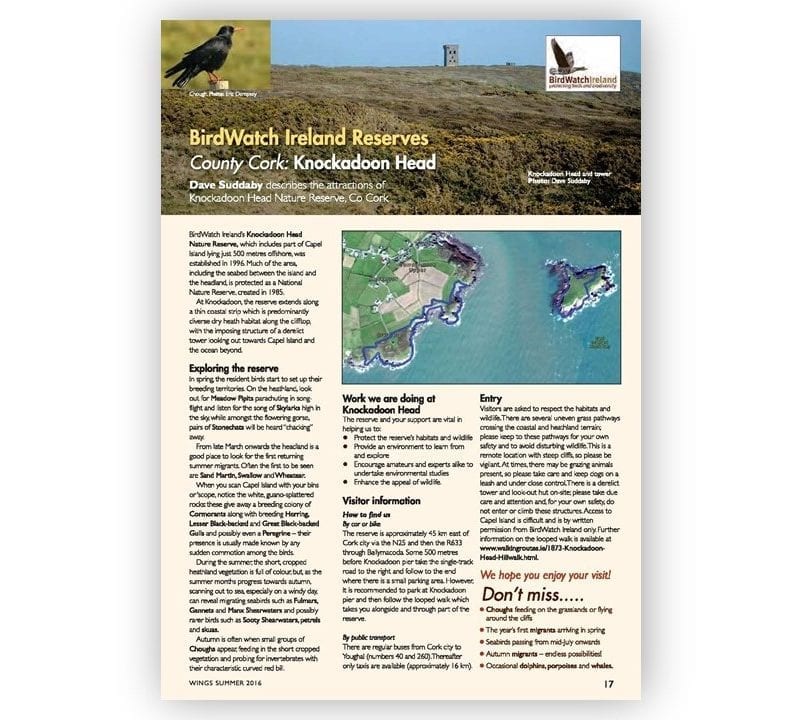 Site Guide Archives - BirdWatch Ireland