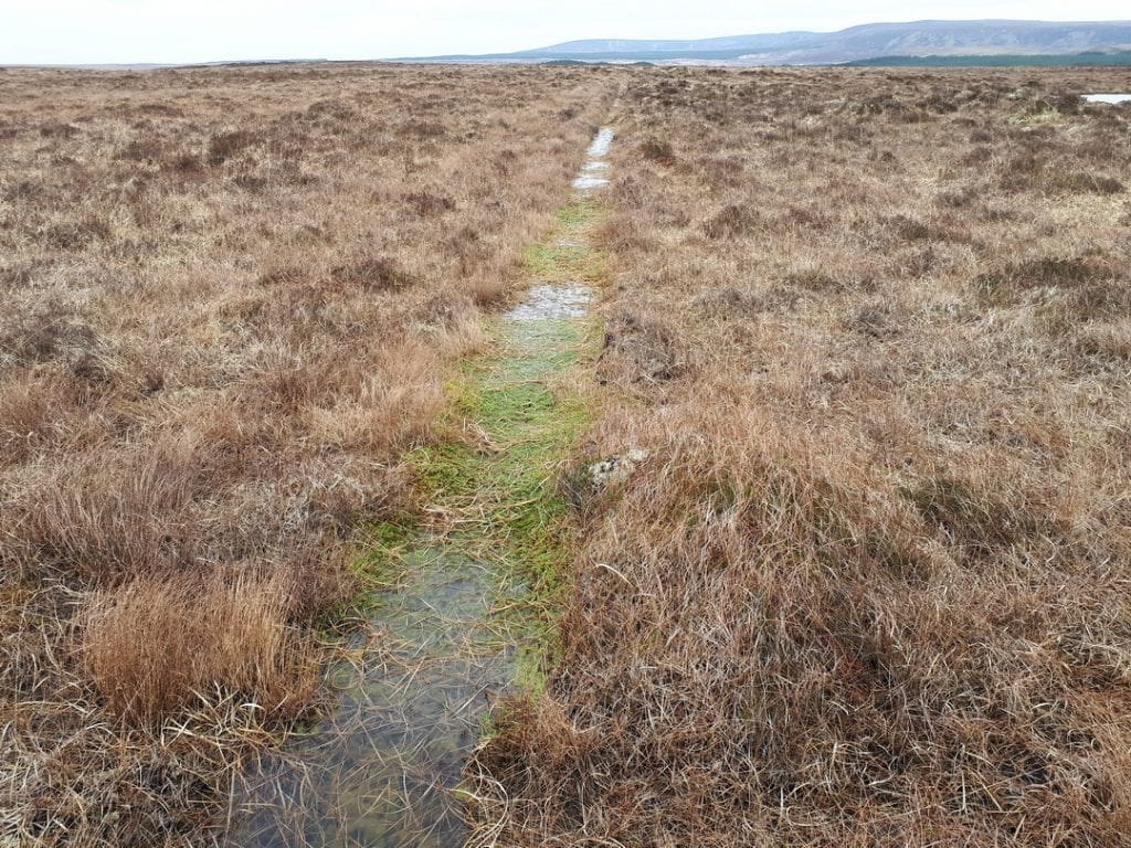 CABB bog restoration - BirdWatch Ireland