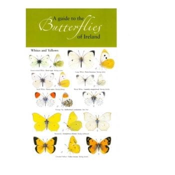 Shop - BirdWatch Ireland - all proceeds support conservation in Ireland