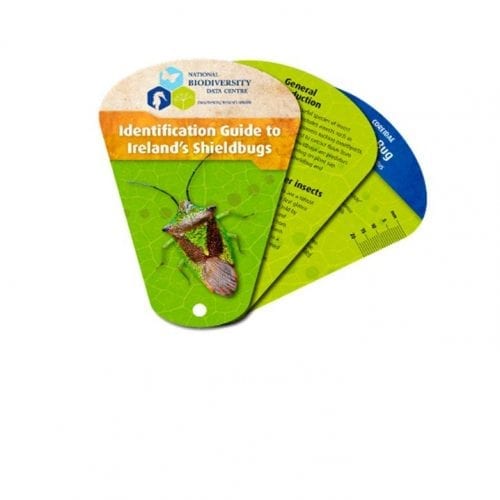 Swatch Guide to Ireland's Shieldbugs - BirdWatch Ireland