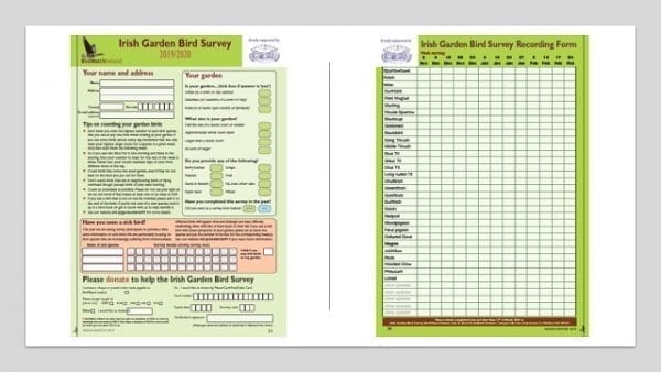 The Irish Garden Bird Survey 2019/20 starts today!! - BirdWatch Ireland