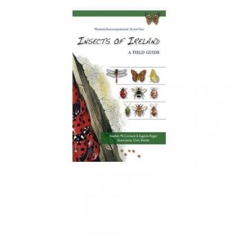 Insects of Ireland: A field guide - BirdWatch Ireland