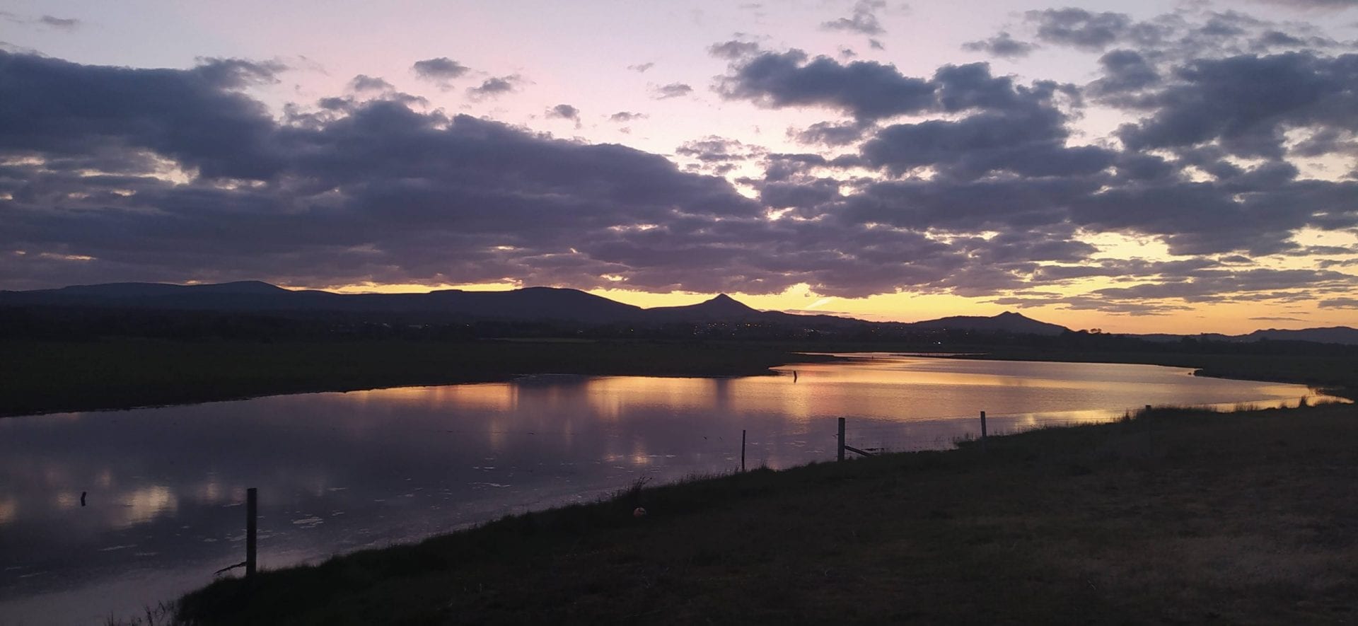 The Re-Tern to Normality at Kilcoole Little Tern Conservation Project ...