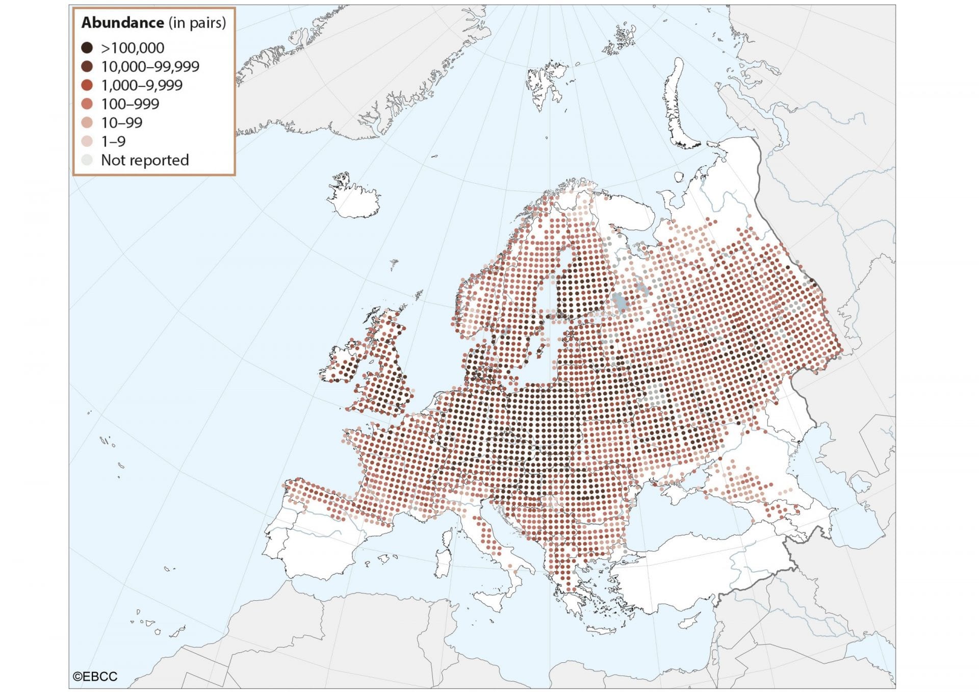 One Book, 596 Birds - Landmark 'European Breeding Bird Atlas' published ...