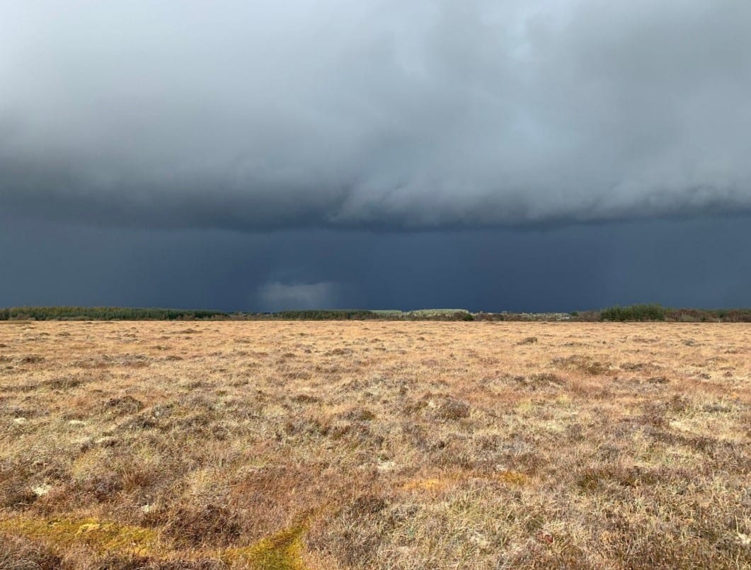 New video showcases conservation efforts bringing life back to a Galway ...