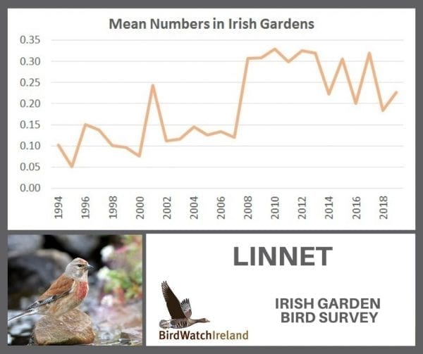 Irish Garden Birds 2020/21 - Changing Garden Bird Numbers over the last ...