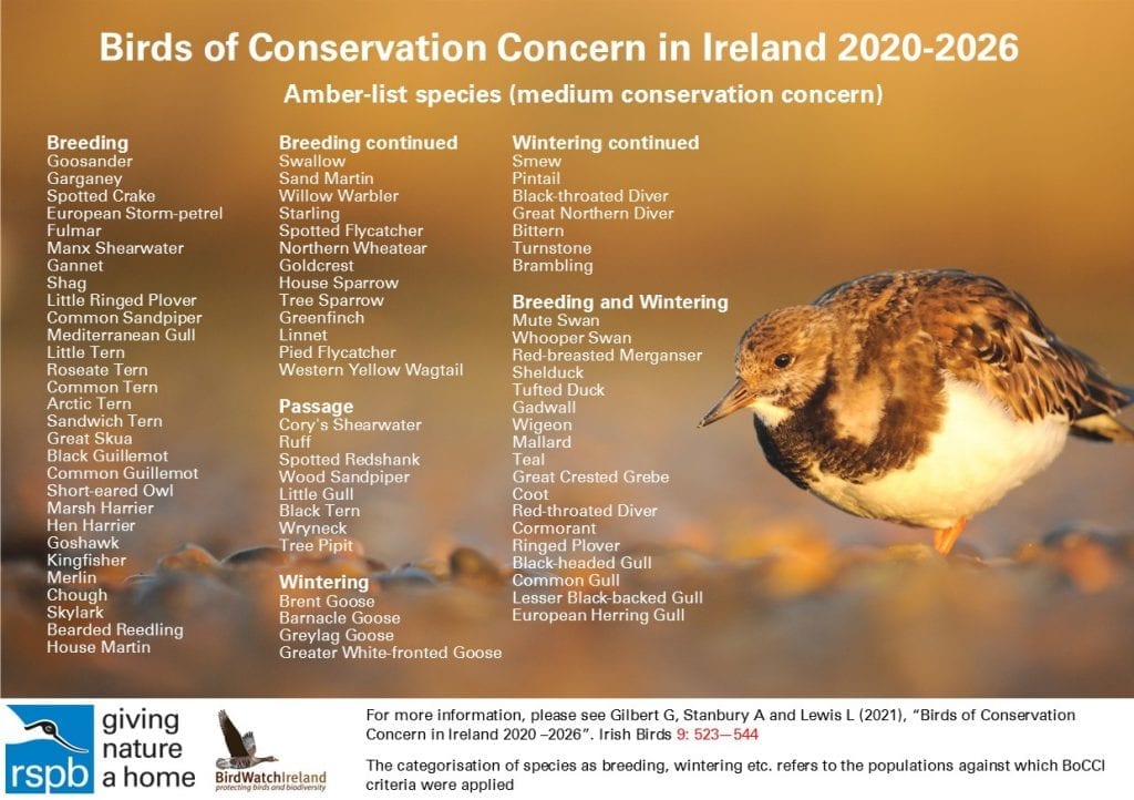 Birds of Conservation Concern in Ireland - BirdWatch Ireland
