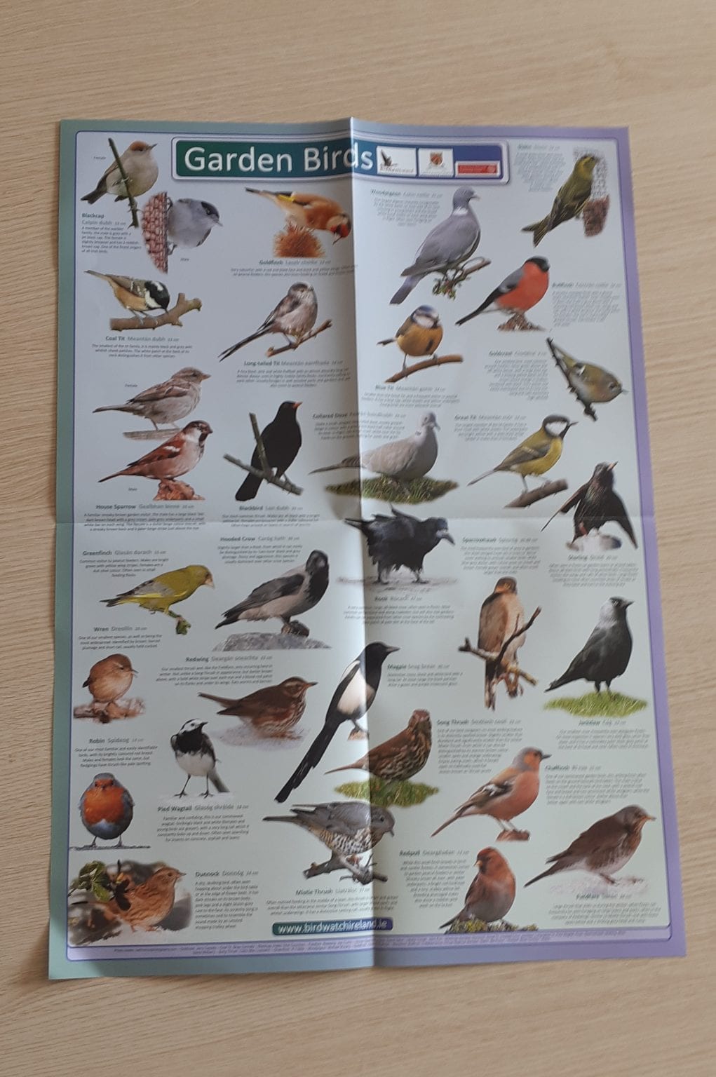 BirdWatch Ireland Garden Bird Poster - BirdWatch Ireland