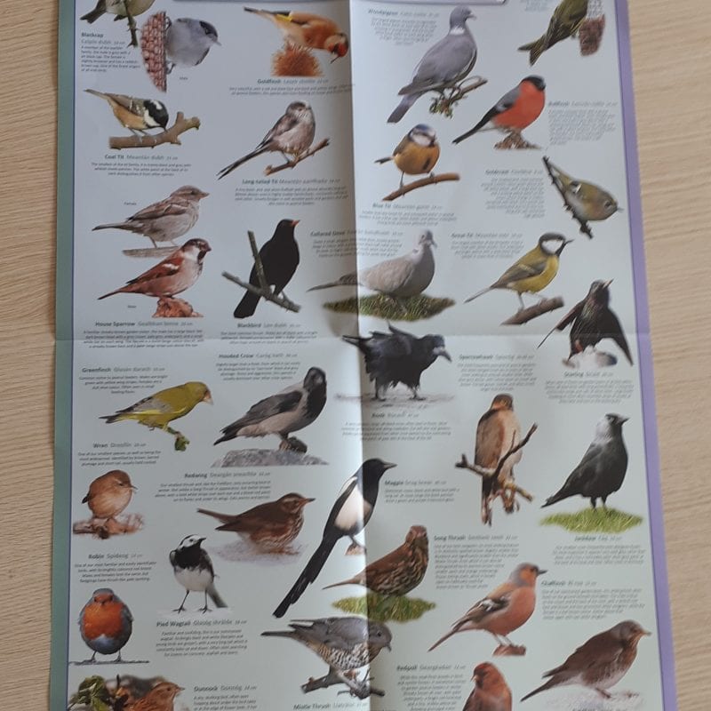 BirdWatch Ireland Garden Bird Poster - BirdWatch Ireland