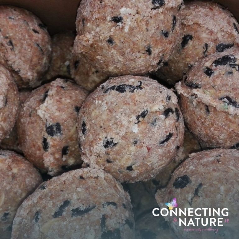 Connecting to Nature 100 Fat Balls - BirdWatch Ireland
