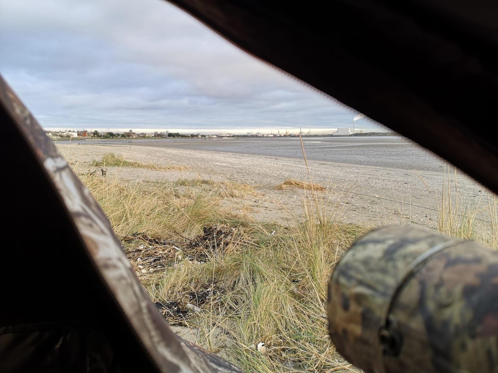 Catching St. Brigid's bird (Oystercatcher cannon netting in Dublin Bay ...