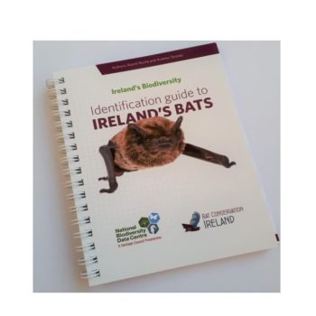 Identification Guide to Ireland's Bats - BirdWatch Ireland