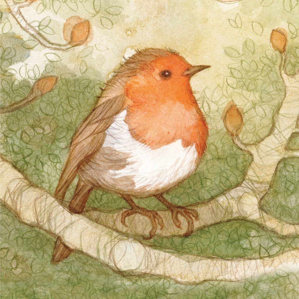 Robin Card by Menagerie Cards - BirdWatch Ireland