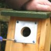 Nest Box Plate - 32mm - BirdWatch Ireland