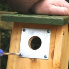 Nest Box Plate - 32mm - BirdWatch Ireland
