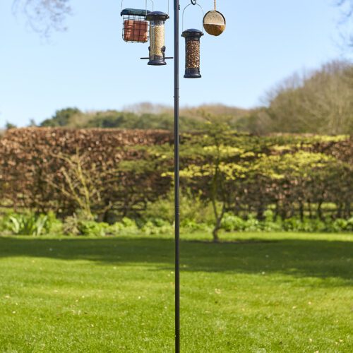 Banquet Bird Feeding Station - BirdWatch Ireland