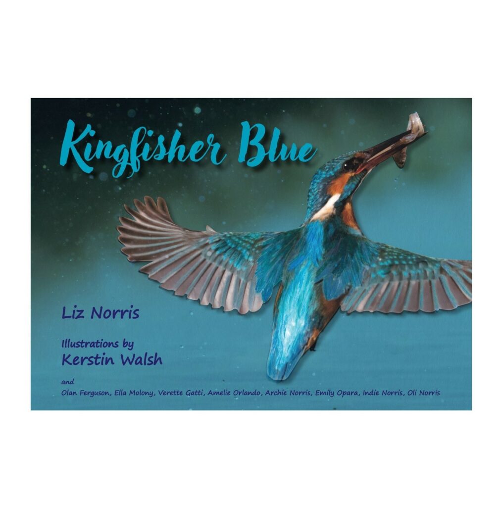 Kingfisher Blue - BirdWatch Ireland