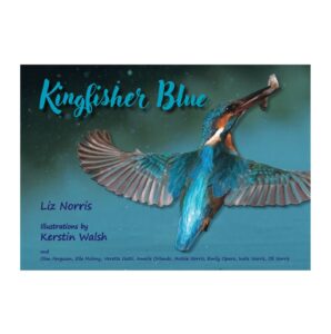 Kingfisher Blue - BirdWatch Ireland