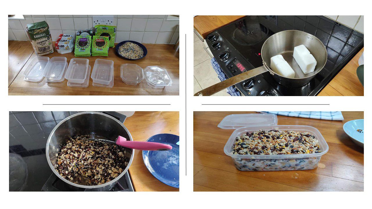 Don't give your Garden Birds a frosty reception this week! - BirdWatch ...