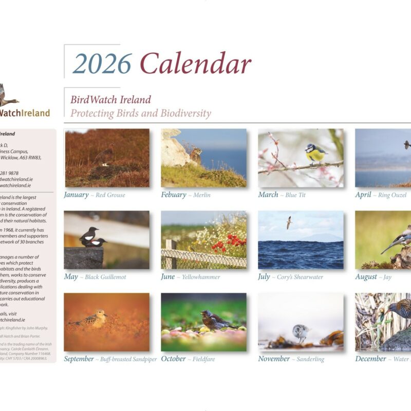 2026 BirdWatch Calendar - BirdWatch Ireland