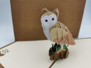 Barn Owl Pop Up Card - BirdWatch Ireland