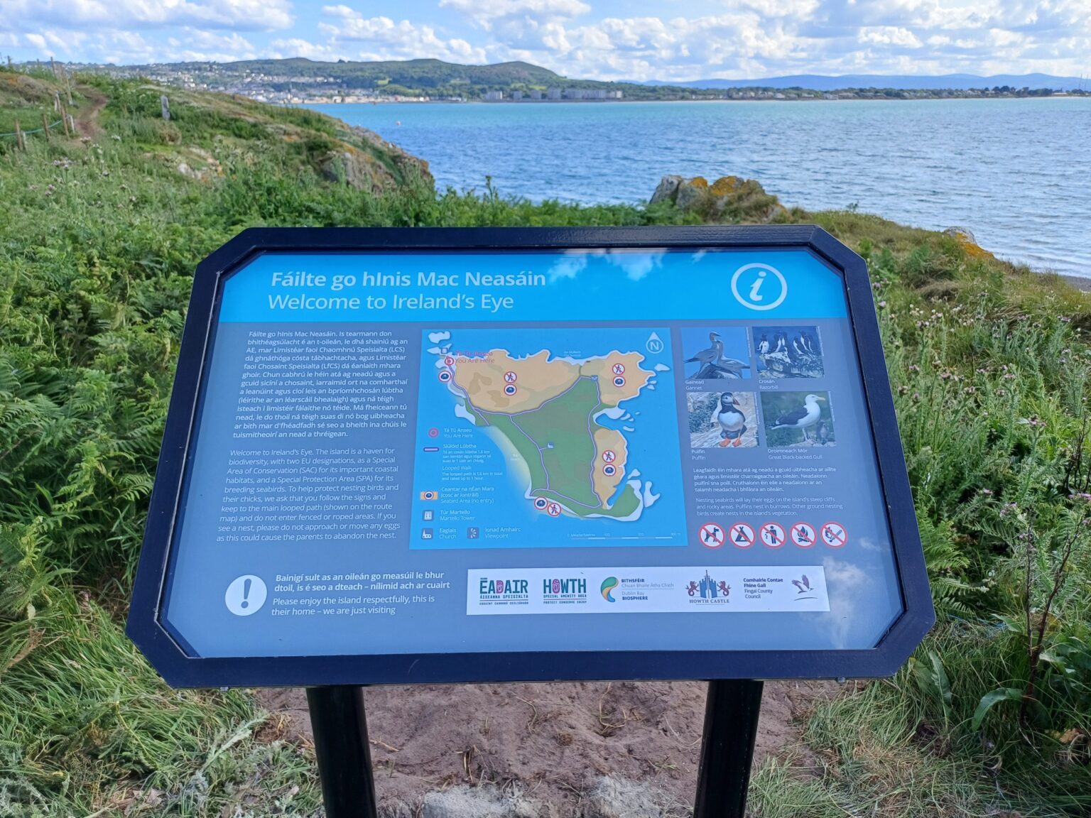 'Seabird Monitoring & Conservation at Ireland’s Eye' Webinar now online ...
